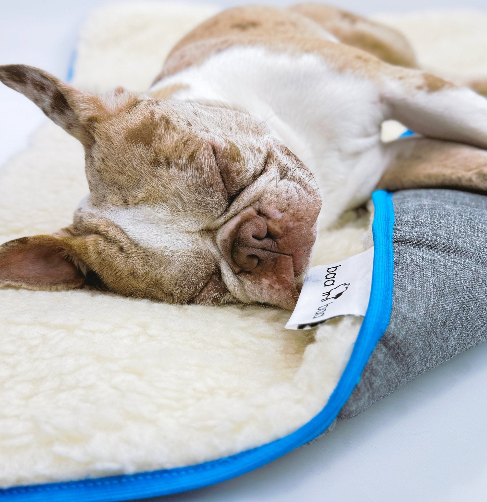 Premium Wool Dog & Cat Mat Portable Bed - Machine Washable Water ...