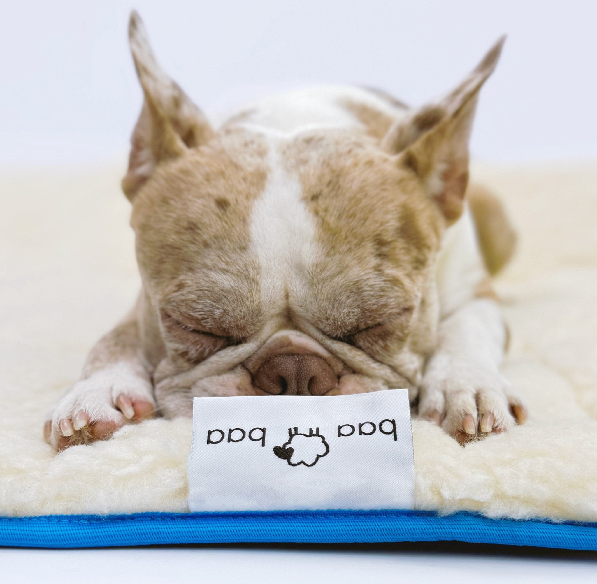 Premium Wool Dog & Cat Mat Bed - Free Shipping, Soft Lambswool, Water ...