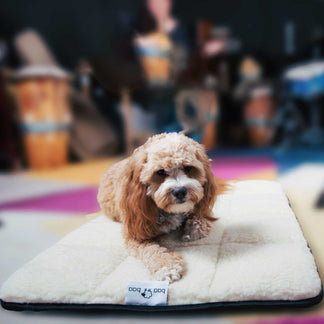 Premium Wool Dog & Cat Mat Portable Bed - Machine Washable Water ...